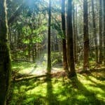 Wild Atlantic Way Map with Sights