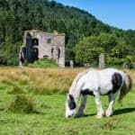 Wild Atlantic Way Map with Sights
